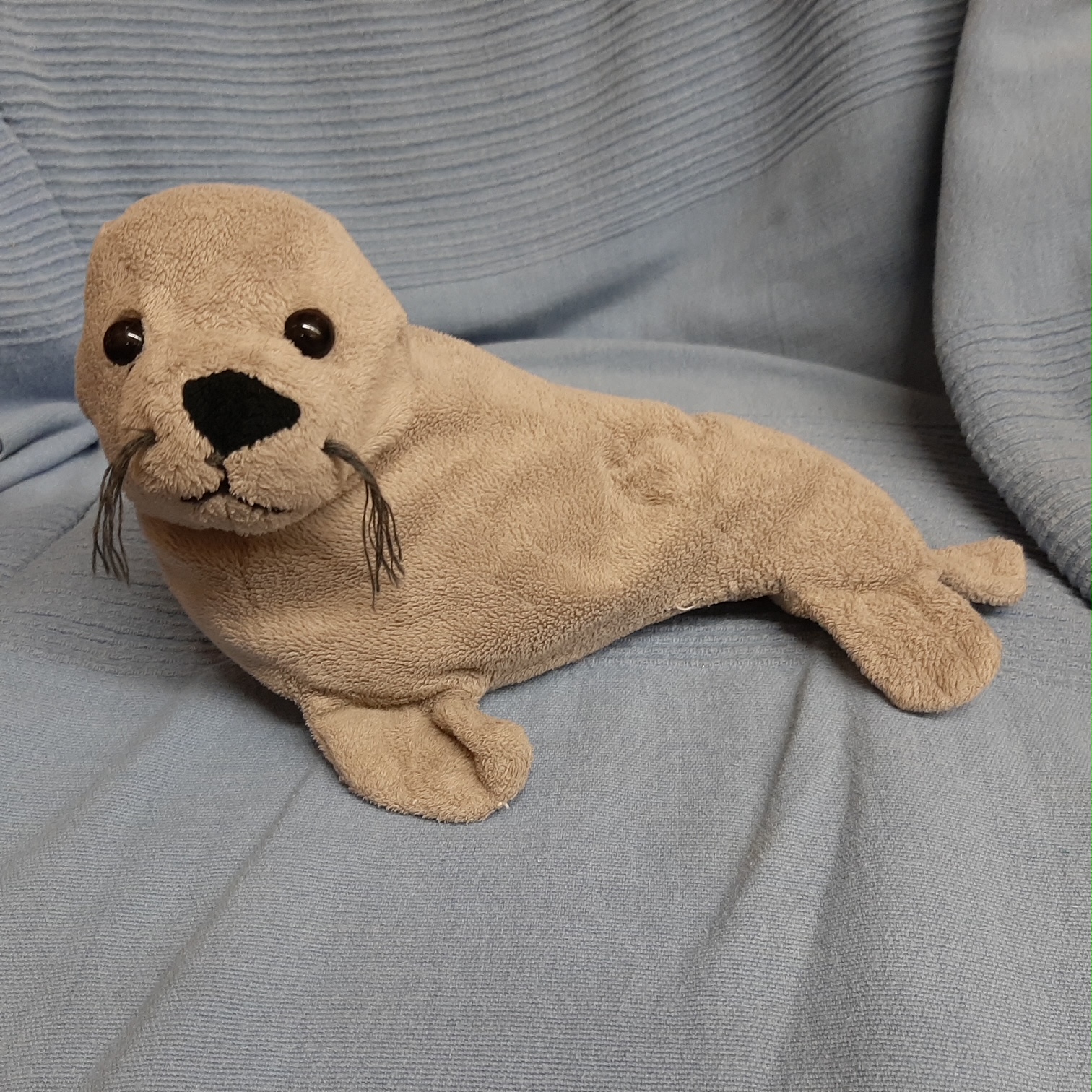 Höltingschule - Klasse 2b